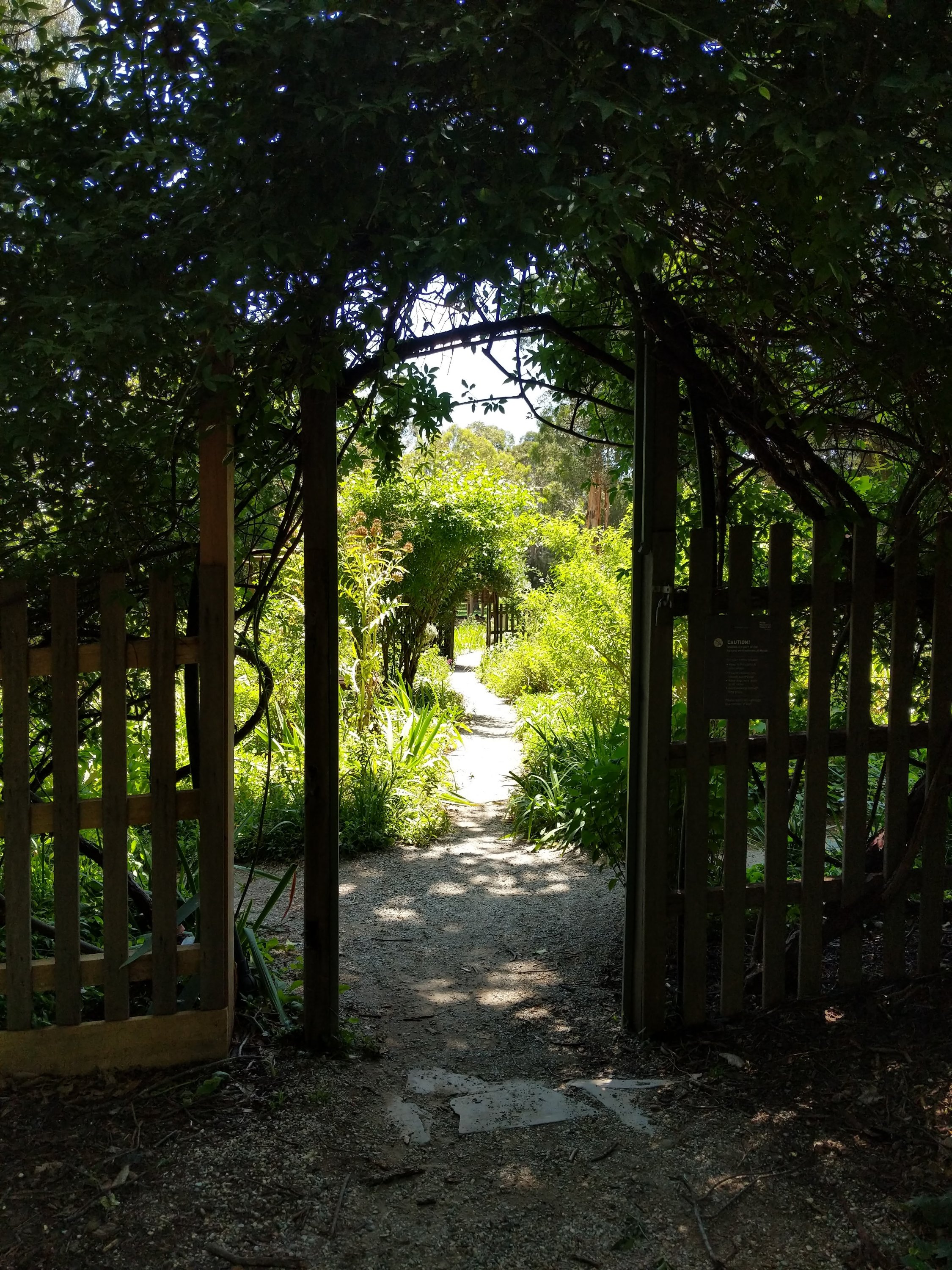 Some enchanted telling | Writing Bec